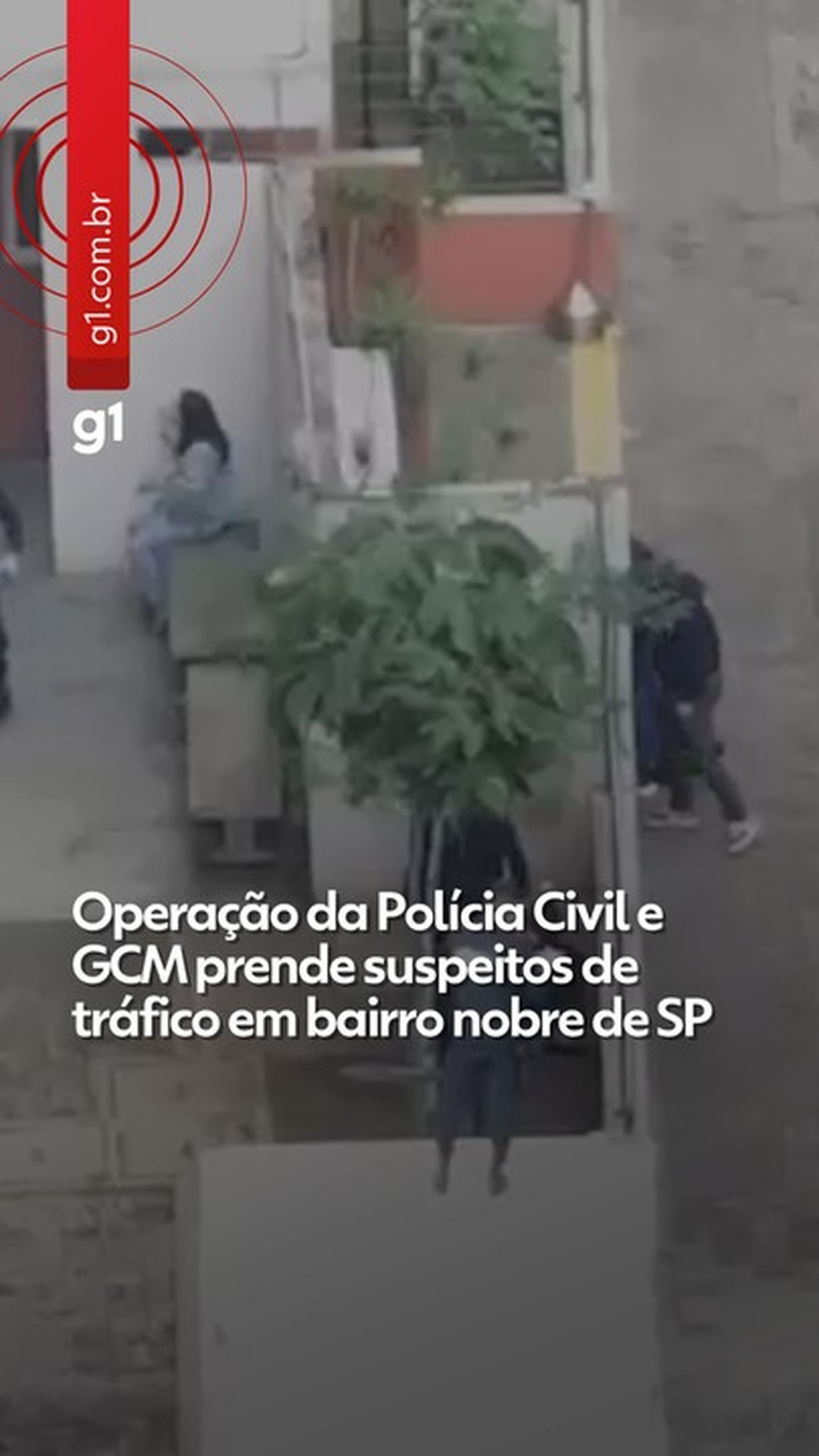Condomínio em bairro nobre de SP é alvo de operação da Polícia e GCM ...