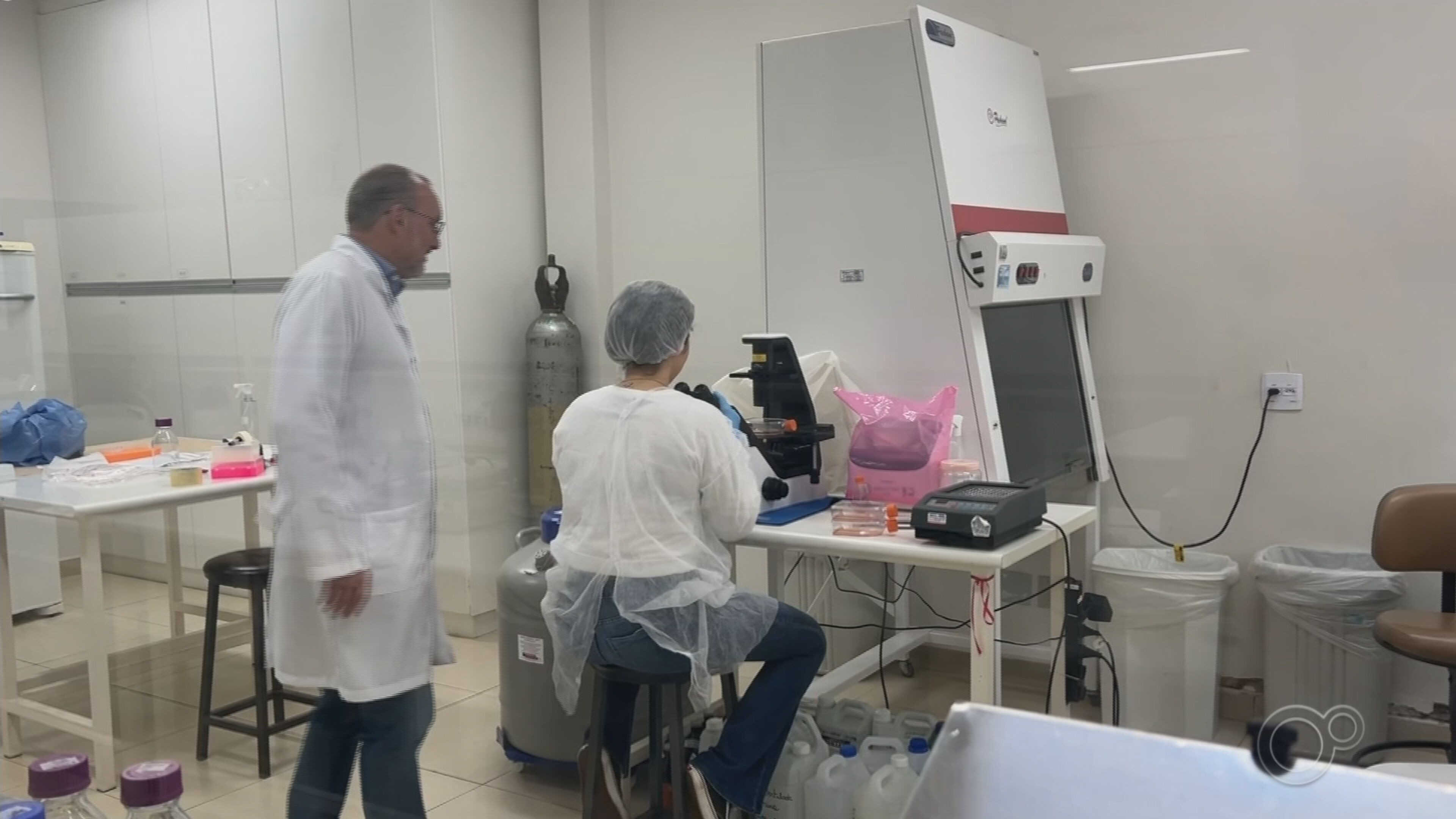 Mirassol é única cidade de SP a receber vacinação contra chikungunya | G1