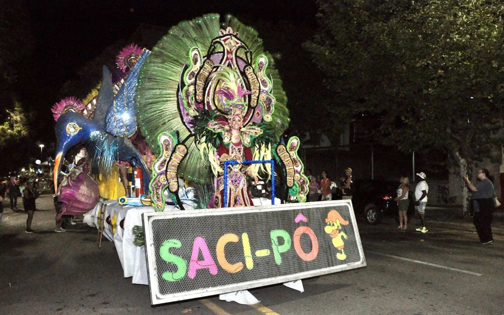 Carnaval 2024: Veja fotos e confira como foi a folia no Sul de Minas | G1