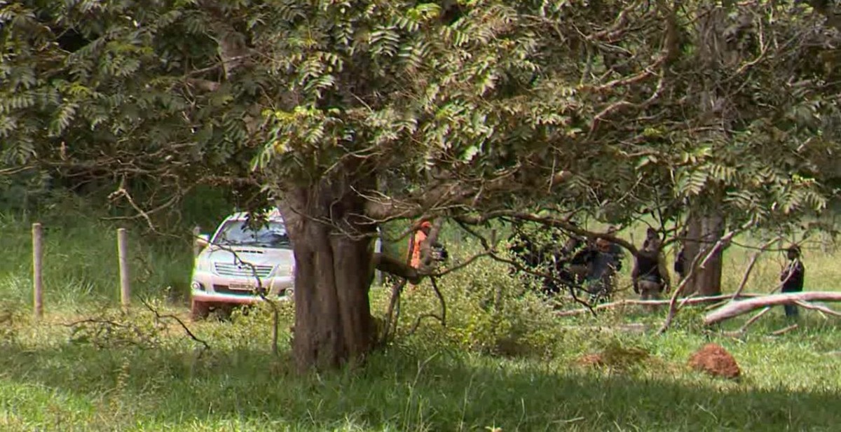 Operação Covardes 8 São Indiciados Por Morte De Homem Encontrado