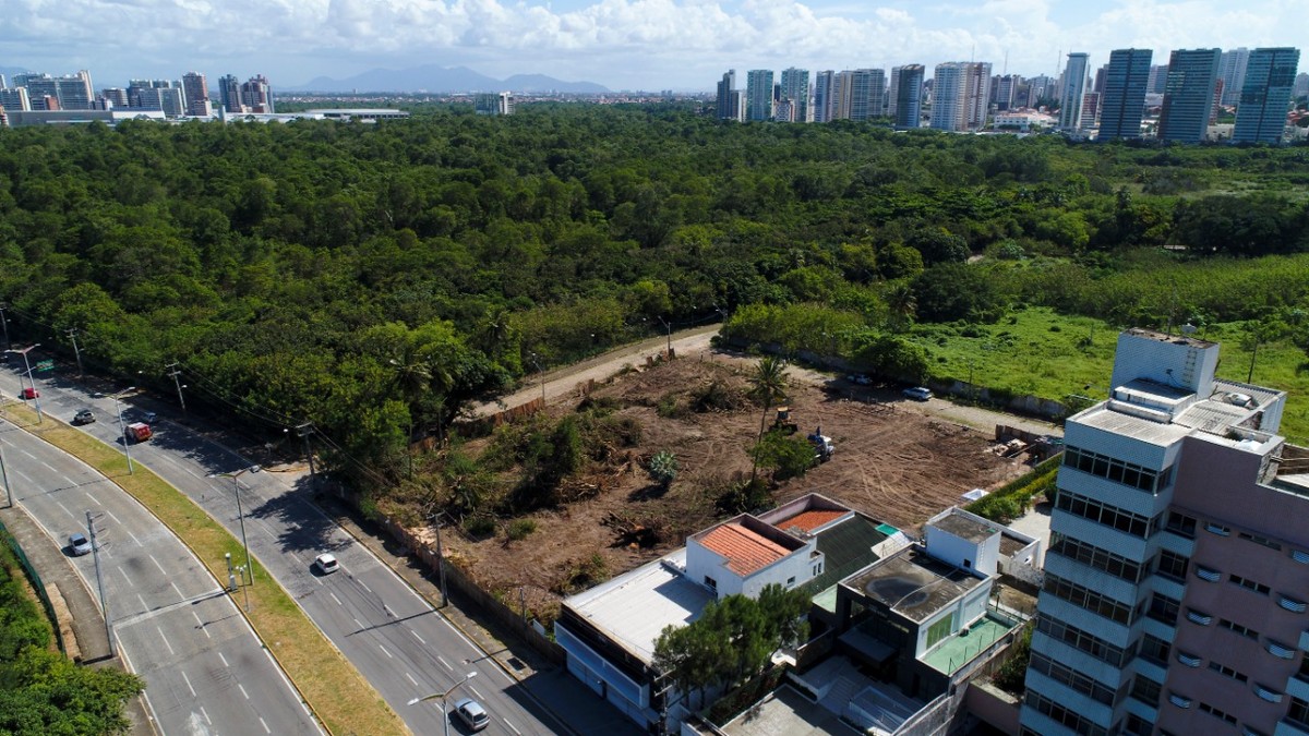 Animais são remanejados, e 85 árvores são retiradas para construção de ...