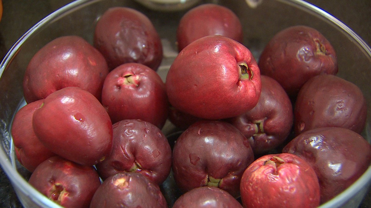 Época do jambo: conheça a origem da fruta exótica e seus benefícios ...