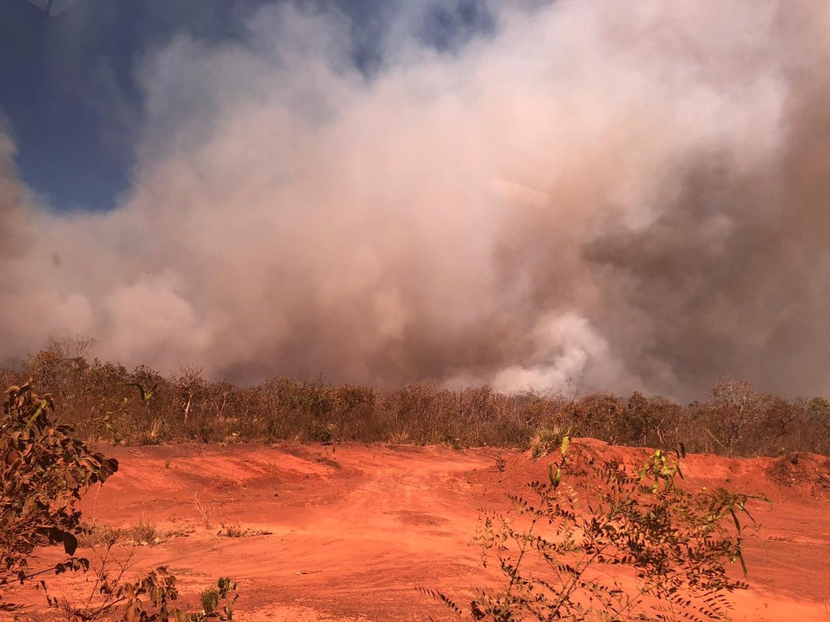 Cerrado registra quase 1,9 mil focos de calor a mais que a Amazônia em ...