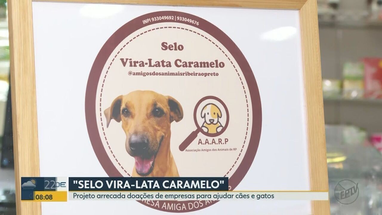 Empresas ganham selo ao ajudar animais abandonados em Ribeirão Preto ...