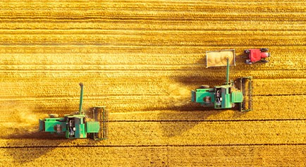 Software AgroCAD possibilita planejar a melhor forma para plantar | G1