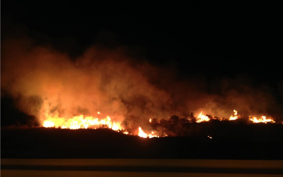 Incêndio atinge mata próxima à via Estrutural, no DF; veja fotos ...