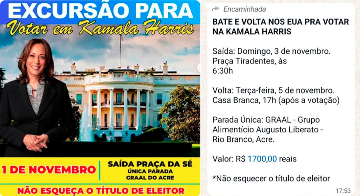 'Bate e volta nos EUA para votar na Kamala Harris': memes pró-democrata ...