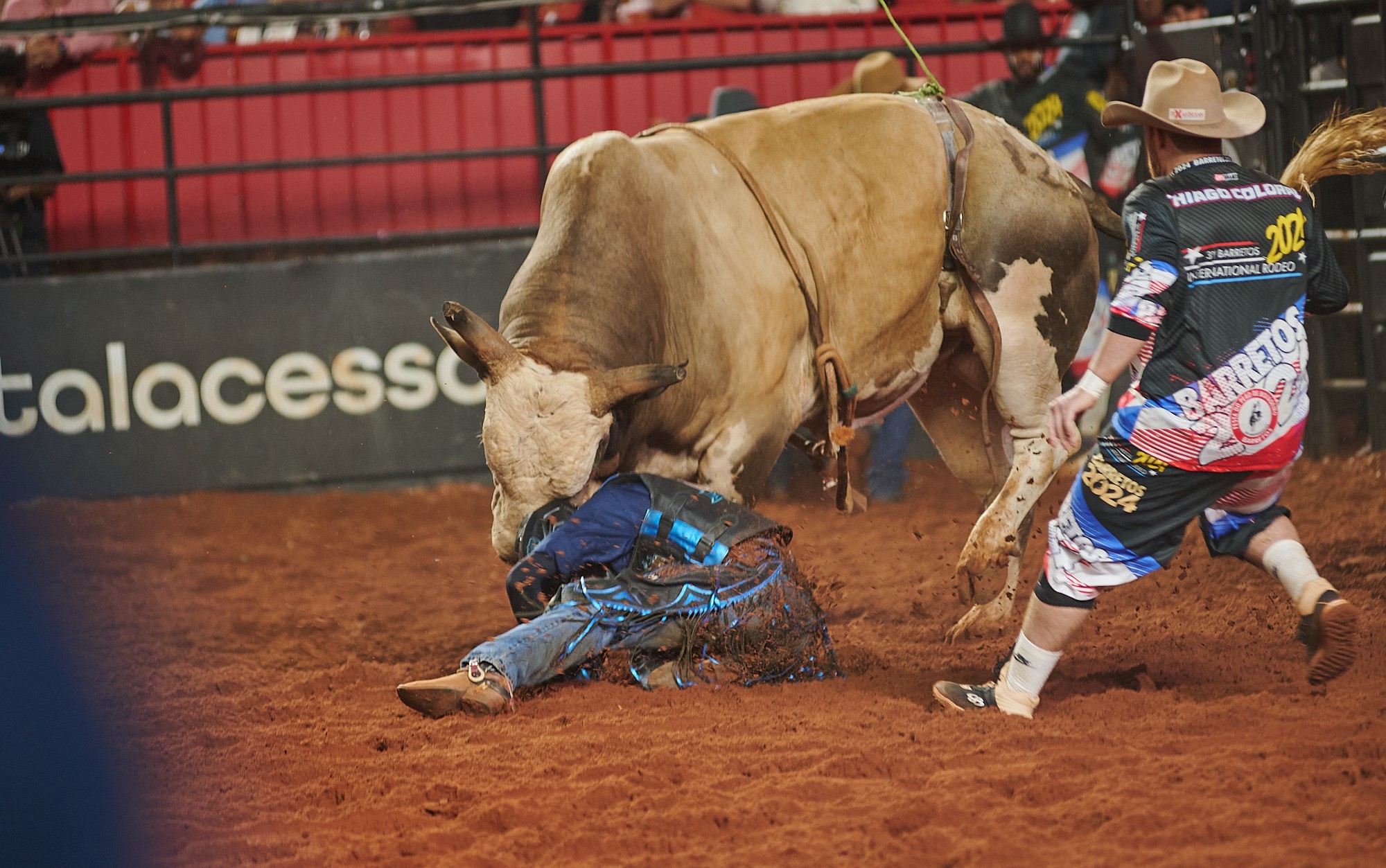 Festa do Peão de Barretos 2024: g1 faz retrospectiva com melhores ...