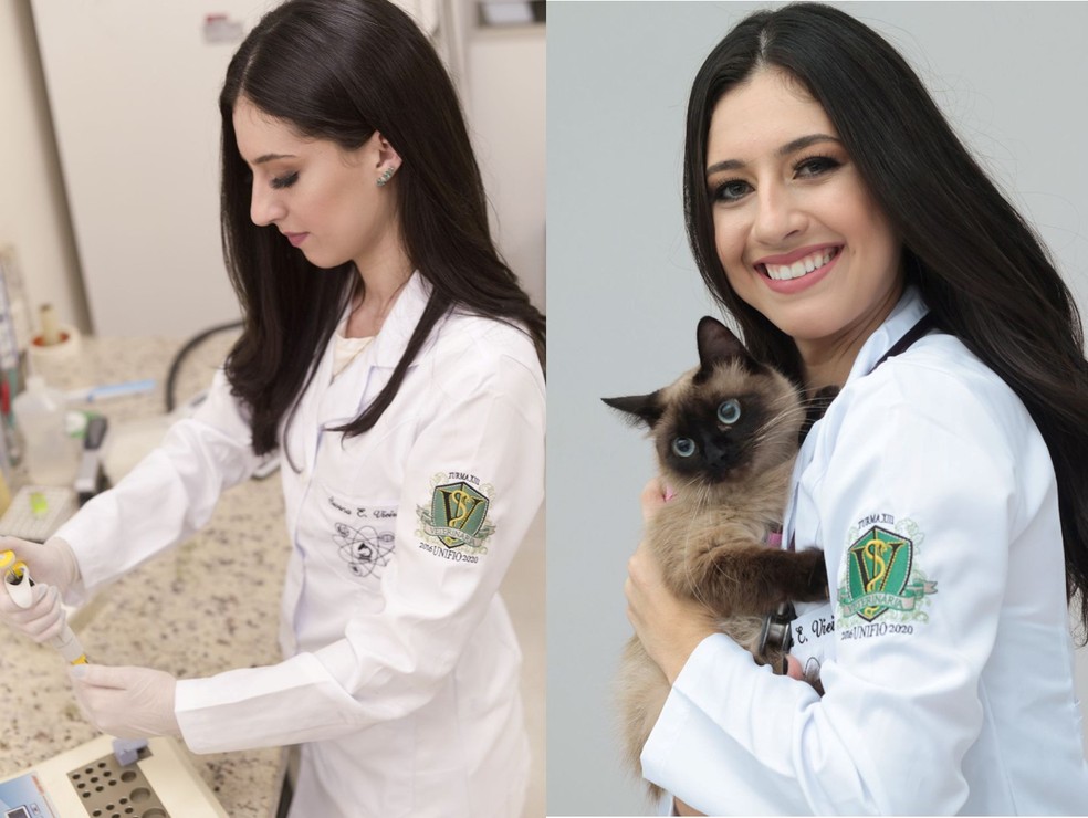 Cães e gatos podem contrair febre maculosa: 'Todo mundo precisa saber ...