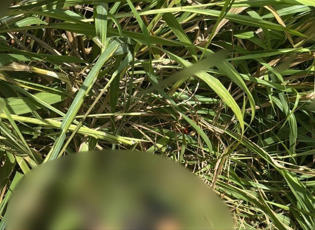 Polícia tenta ouvir familiares de jovem de 23 anos achado morto em área ...