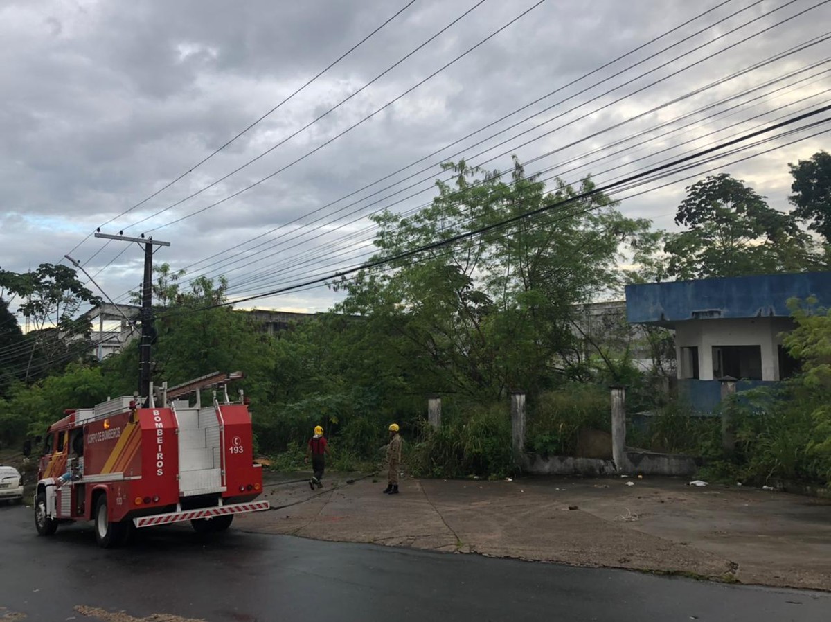 Incêndio atinge terreno baldio em Manaus | Amazonas | G1