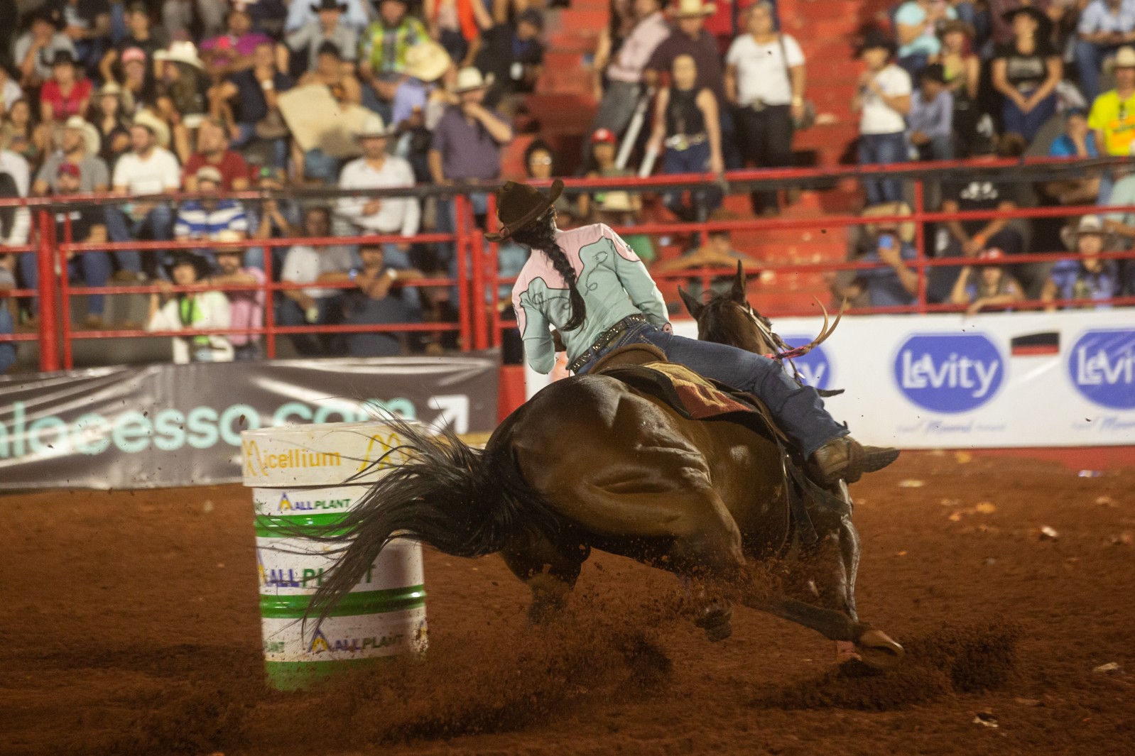 Ranch sorting, team penning: Conheça as provas do rodeio em Ribeirão ...