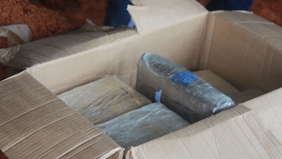 Entorpecentes apreendidos em ações de combate ao tráfico são ...