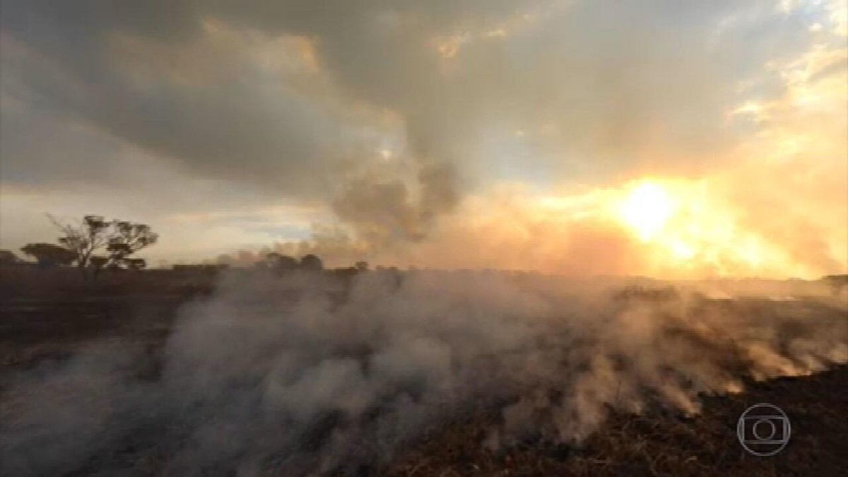 Queimadas atingem quase 20% do território brasileiro em 3 décadas ...