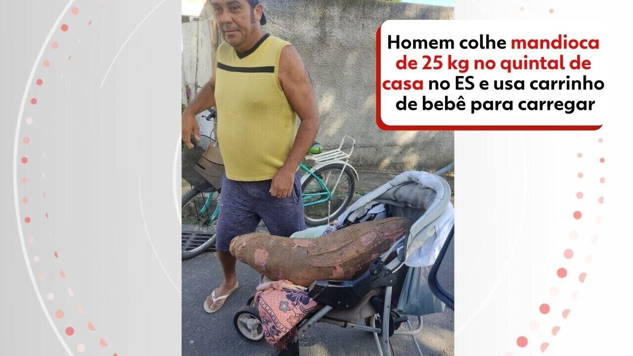 VÍDEO: Homem colhe mandioca de 25 kg no quintal de casa no ES e usa ...