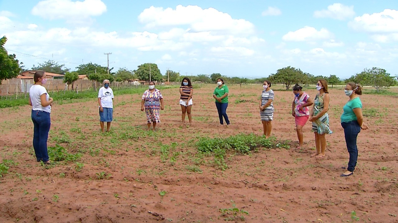 Mulheres de comunidade rural se unem para plantar e produzir em quintal ...