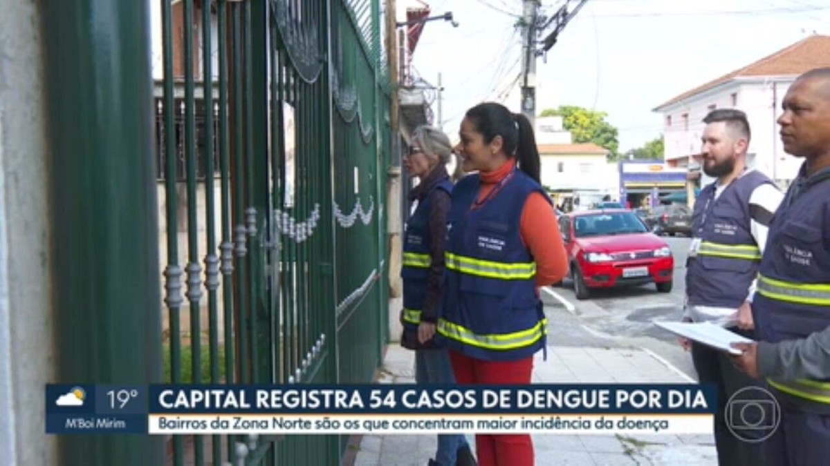 Cidade de SP tem 54 casos de dengue por dia; quatro pessoas já morreram este ano, segundo a ...