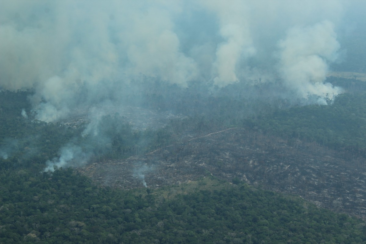 Apuí, no Amazonas, lidera ranking de focos de queimadas no país, aponta ...