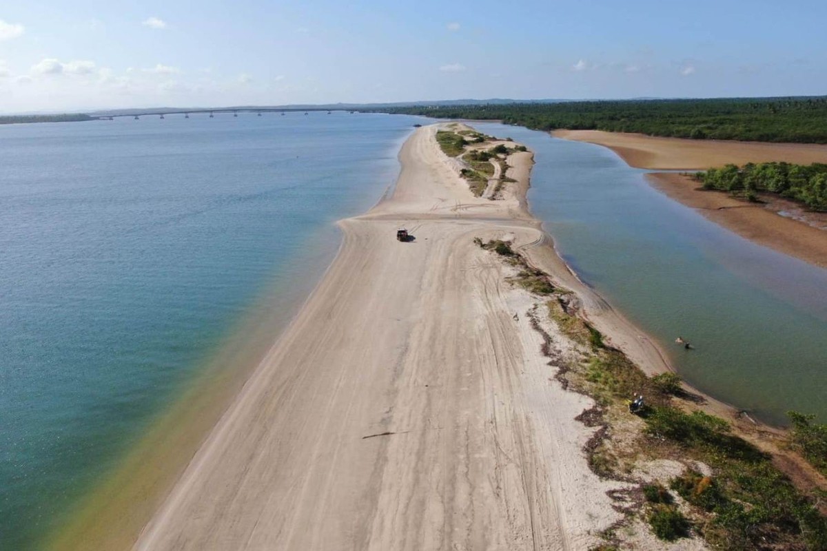 Praia do Viral: pesquisador explica por que ilha em Aracaju corre risco ...