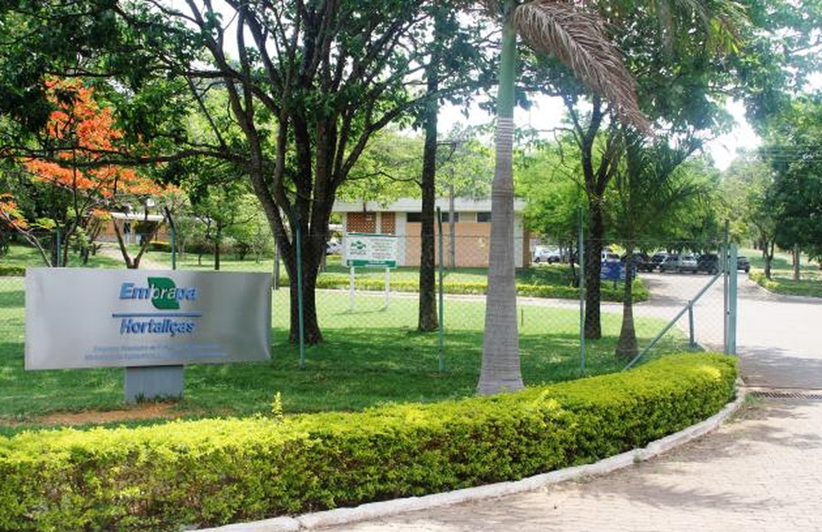 Embrapa abrirá concurso público pela 1ª vez após 15 anos, afirma ...