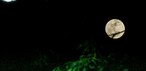 Superlua azul: veja fotos e explicação do fenômeno que faz a Lua ficar ...
