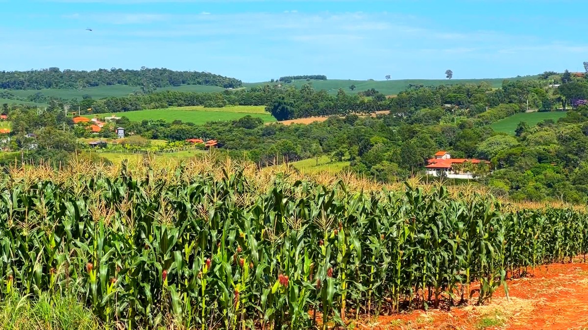 Seguro rural ajuda produtor a ter mais tranquilidade no campo | Nosso ...