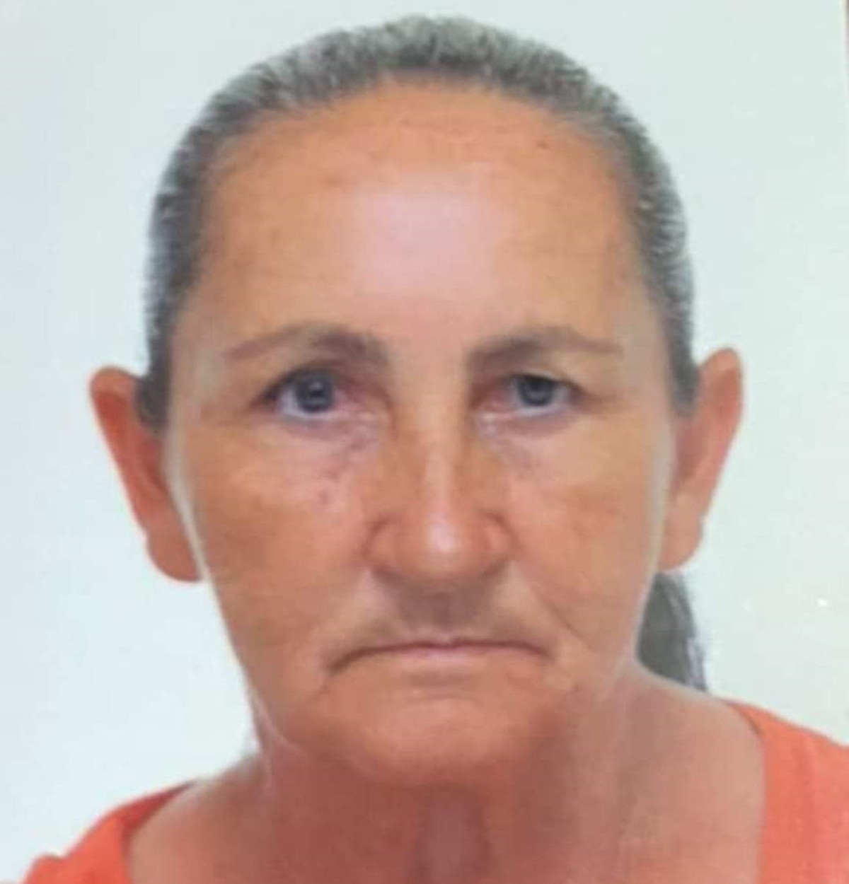 Briga Entre Irmãos Que Terminou Na Morte Da Mãe Em Mg Começou Com