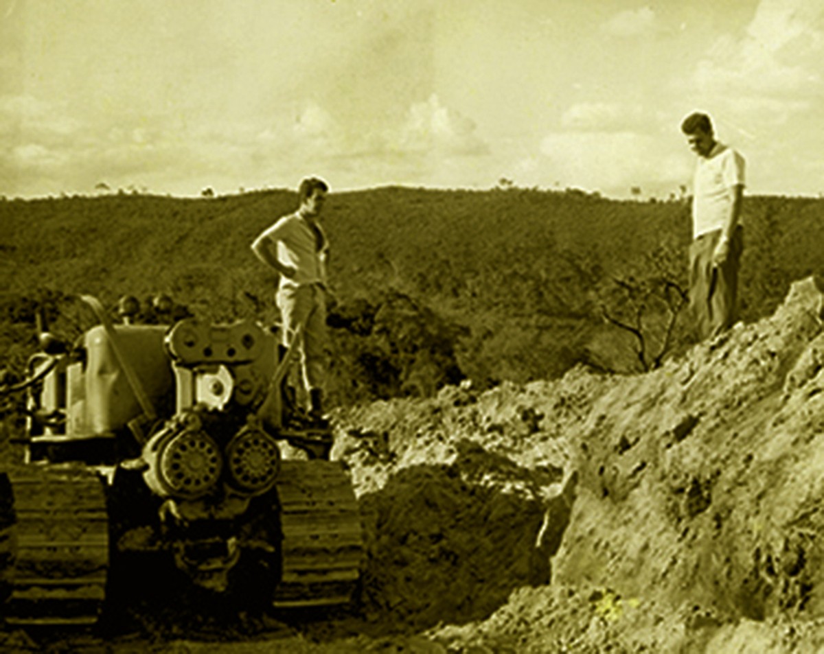 Calpar: 50 anos de tradição e história na agricultura brasileira ...