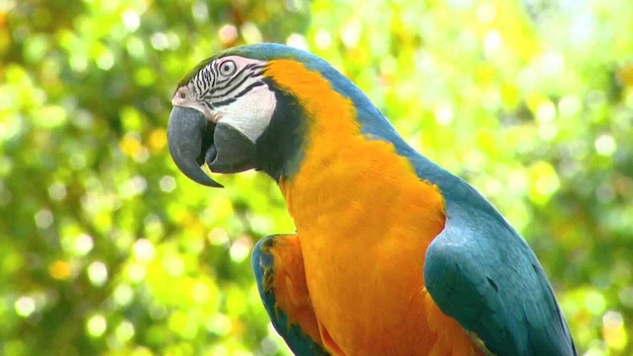 Conheça o sistema da Legun Biotecnologia para redução de contaminação ...