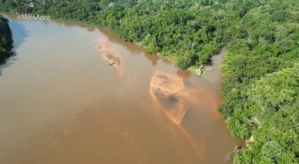 Entre os rios mais assoreados do país, Taquari vai ter mil hectares ...