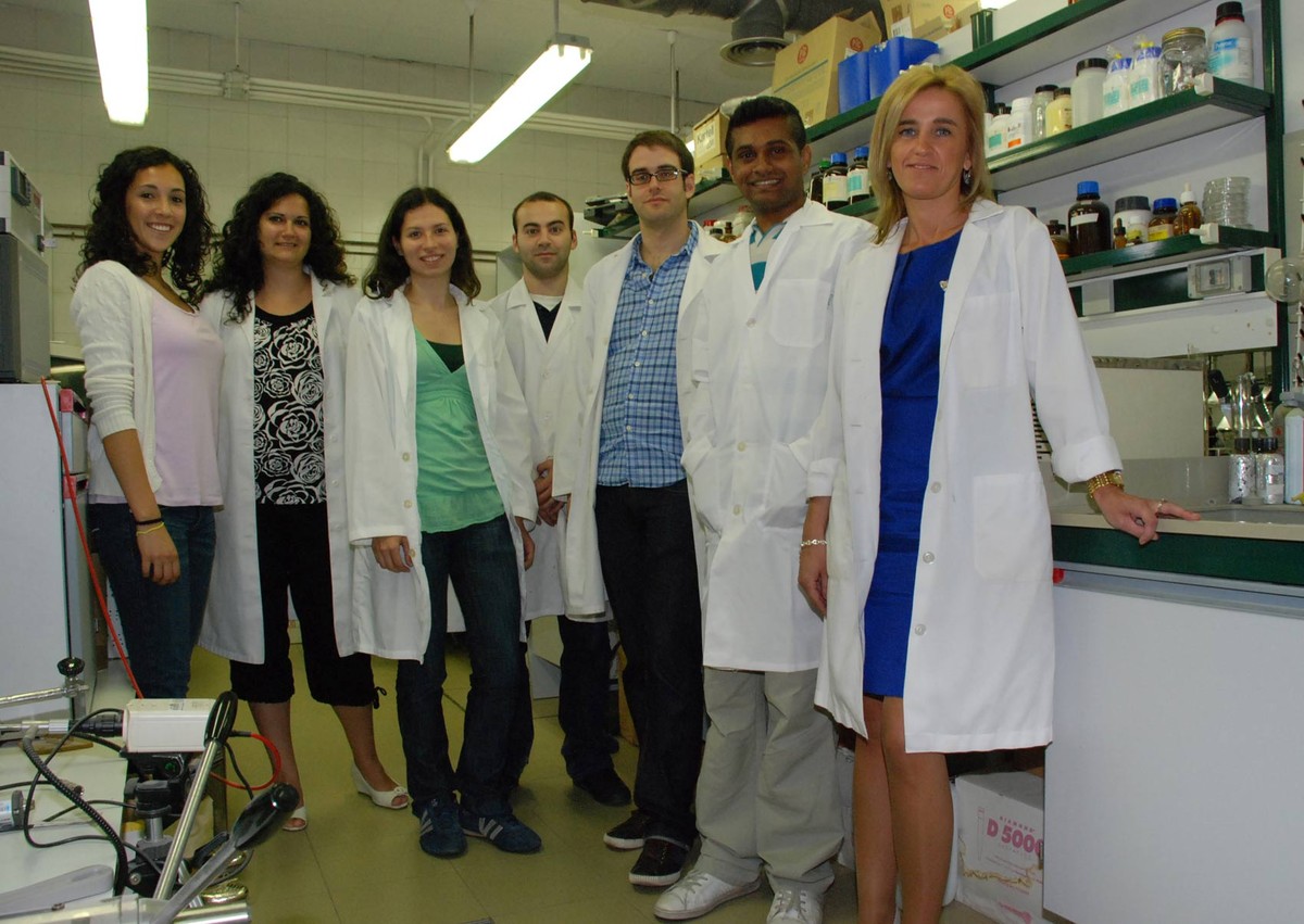 Pesquisadores testam na Espanha alternativa não tóxica à quimioterapia ...