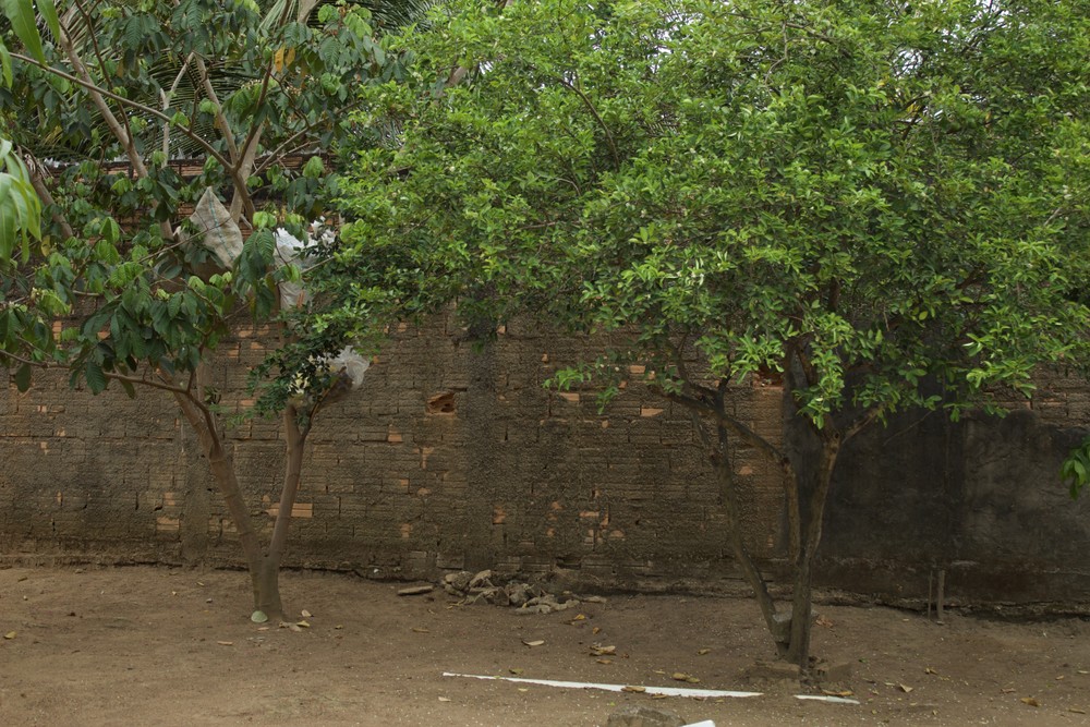'Mãe' da capivara Jorge guarda roupas e sente saudades quase 10 anos ...