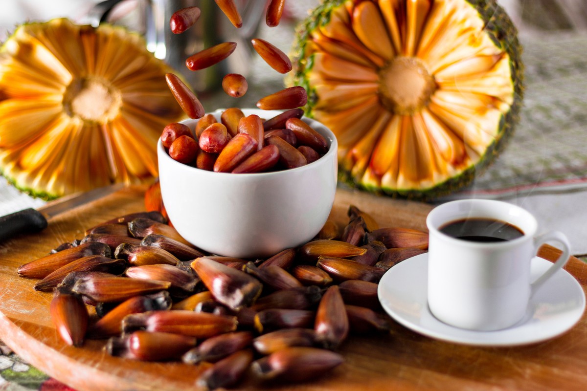 Aprenda a fazer paçoca de pinhão, prato típico da Serra Catarinense ...