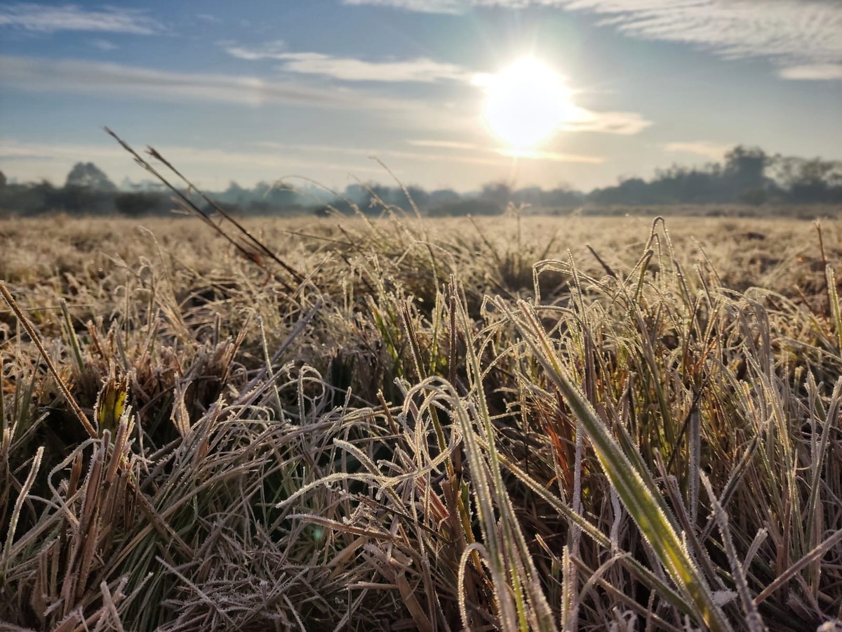 FOTOS: com temperaturas abaixo de zero, regiões do RS amanhecem ...