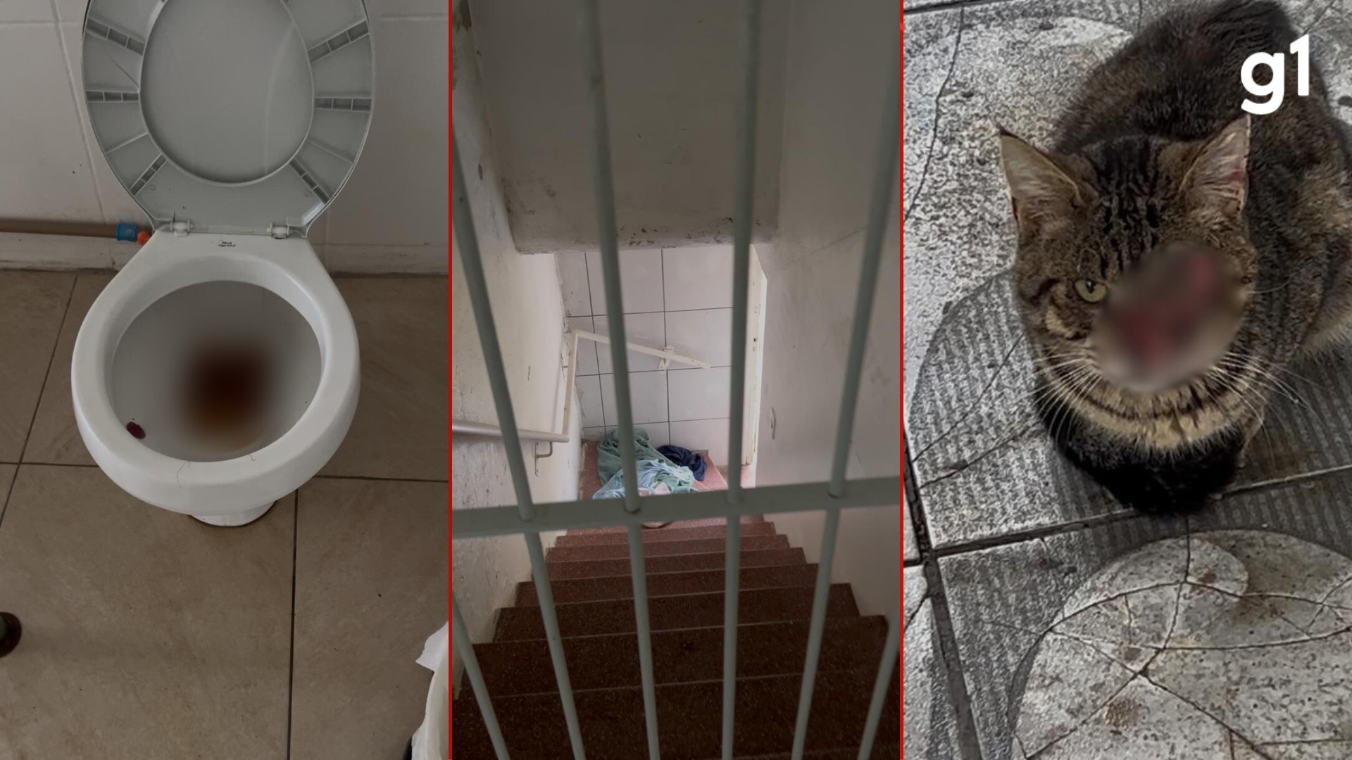 Responsável por lar de idosos interditado e irregular é presa no RS | G1