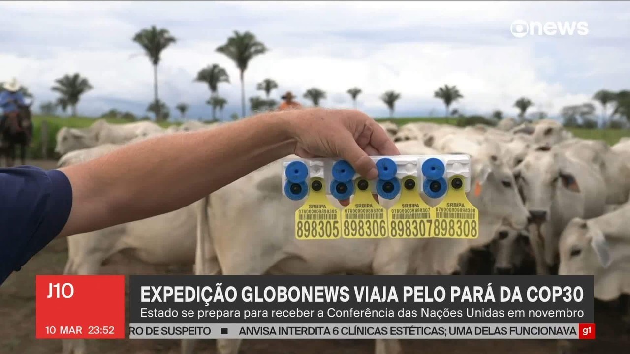 A estrada construída para a COP30 em Belém que vai desmatar a Amazônia | G1