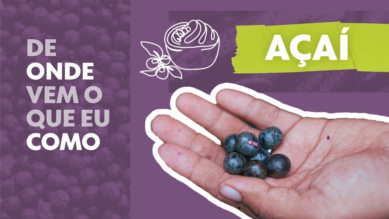 Na rota do açaí: g1 mostra como o açaí sai da Amazônia, vira prato no ...