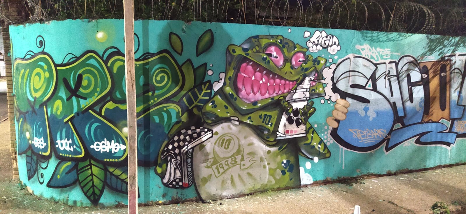 Artistas de cinco países se reúnem em Rio Branco para Encontro ...