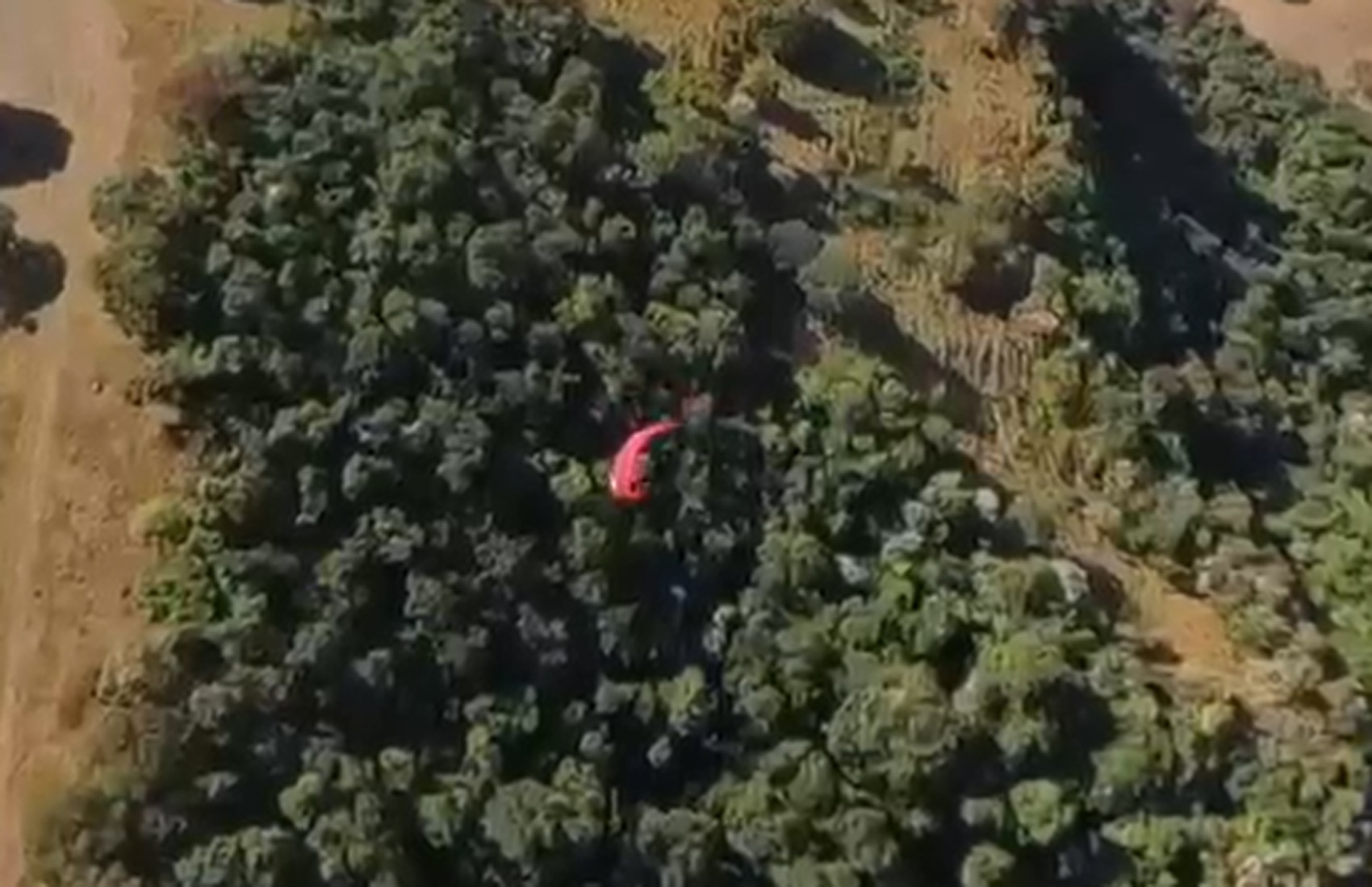 Vídeo mostra queda de piloto de parapente que morreu no interior de SP | G1