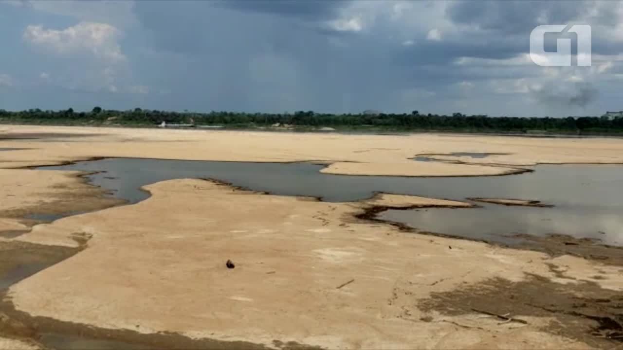 Dia da Amazônia: Como a preservação do Rio Madeira é essencial para ...