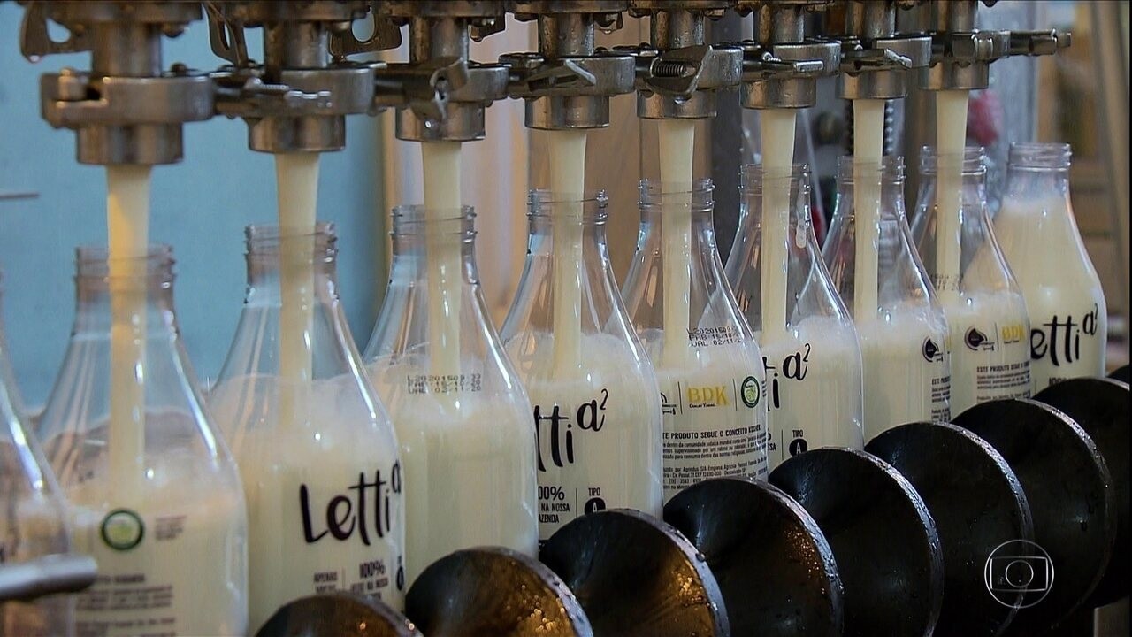 Pecuaristas brasileiros investem no leite A2, produto que pode ser mais ...