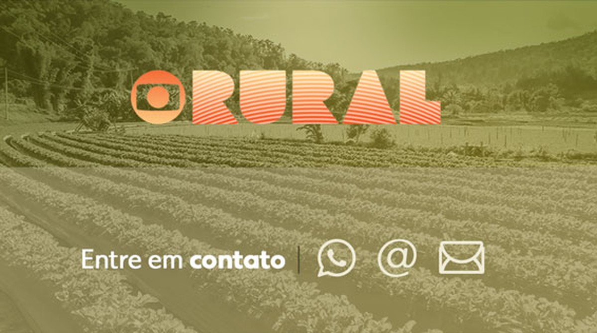 Contatos do Globo Rural | Globo Rural | G1
