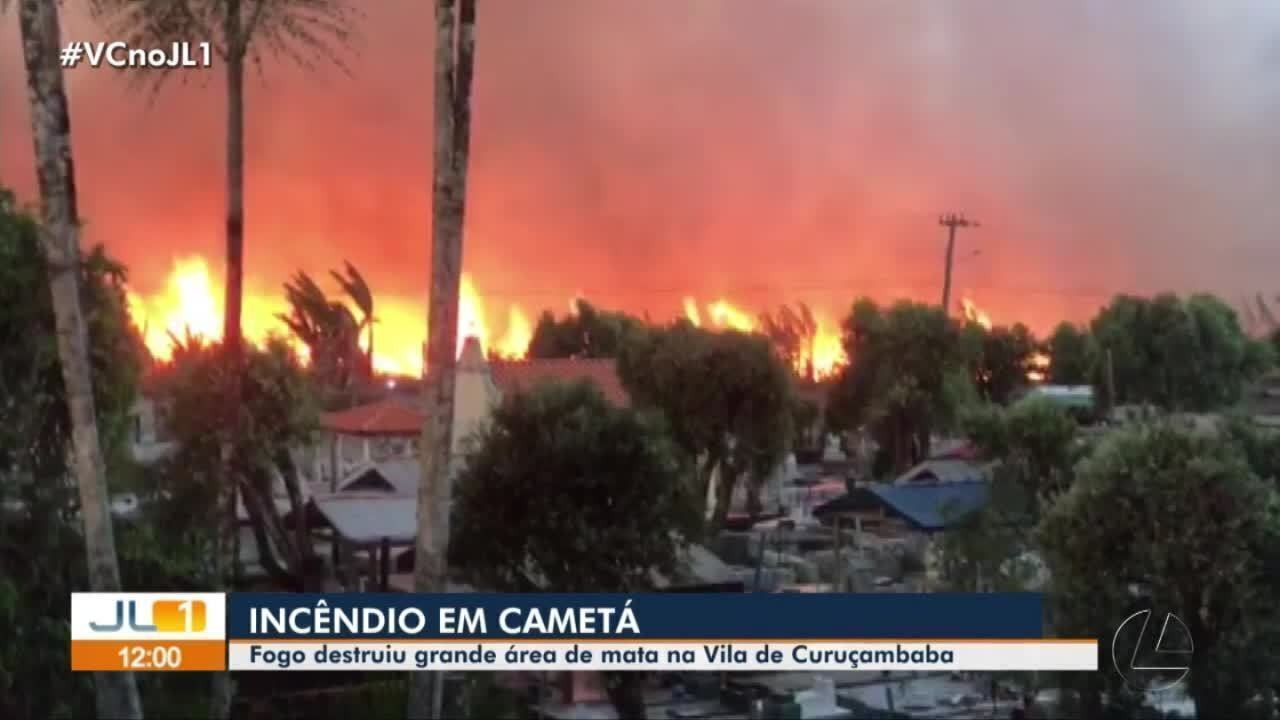 Incêndio destrói área de mata em Cametá, no Pará | G1