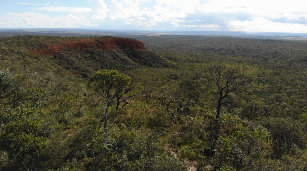 Queimadas descontroladas no Cerrado contaminam solo e água | Terra da ...
