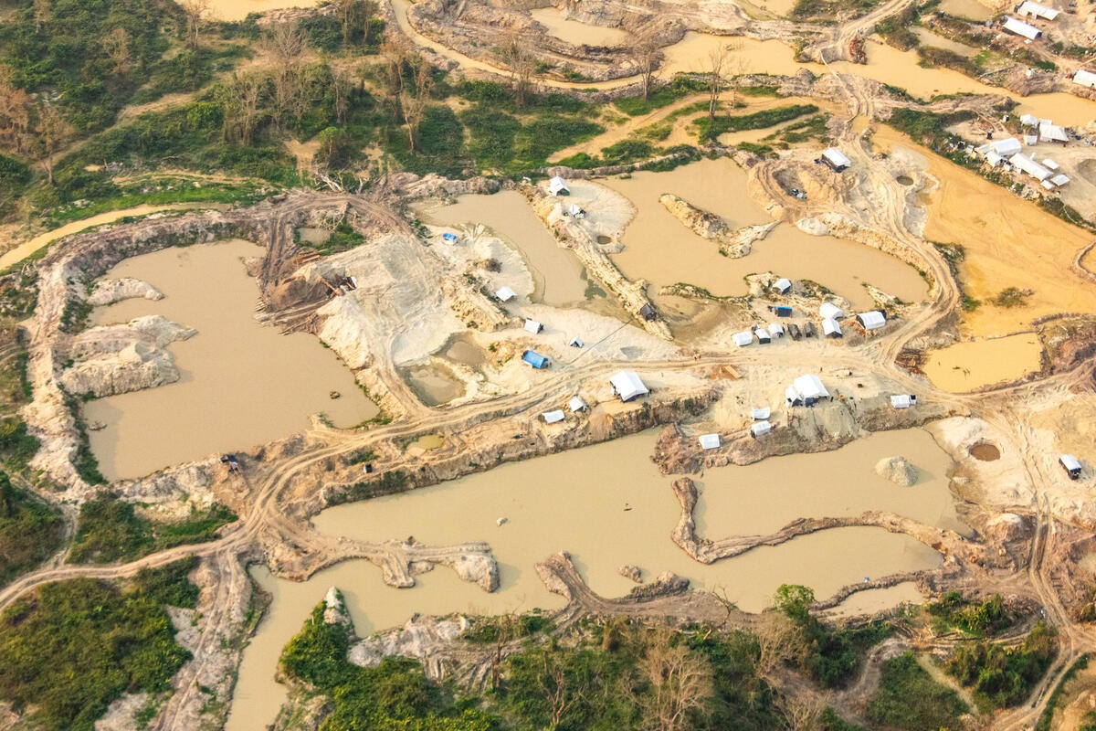 Denúncia de destruição: imagens revelam avanço de garimpo ilegal na ...