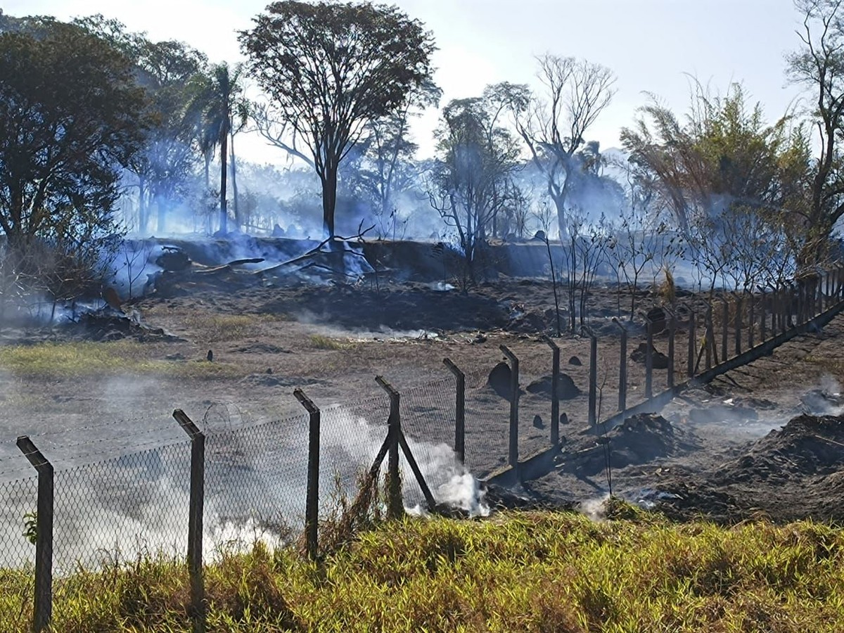 Incêndio de grandes proporções atinge área de mata em Taubaté | Vale do ...
