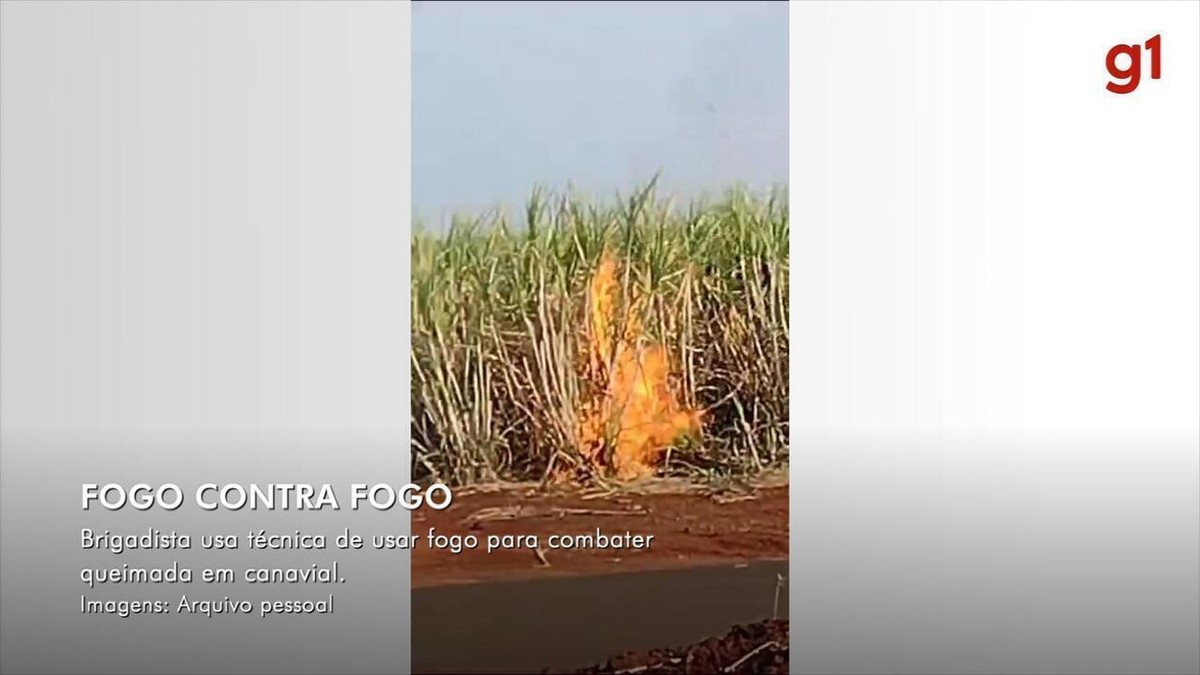 'Fogo contra fogo': entenda técnica utilizada por brigadista para ...