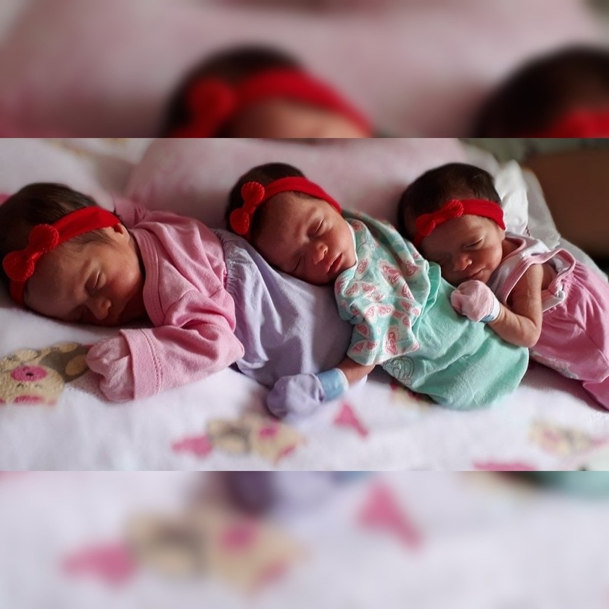 Mulher que descobriu trigêmeas no parto deixa maternidade e vira ...