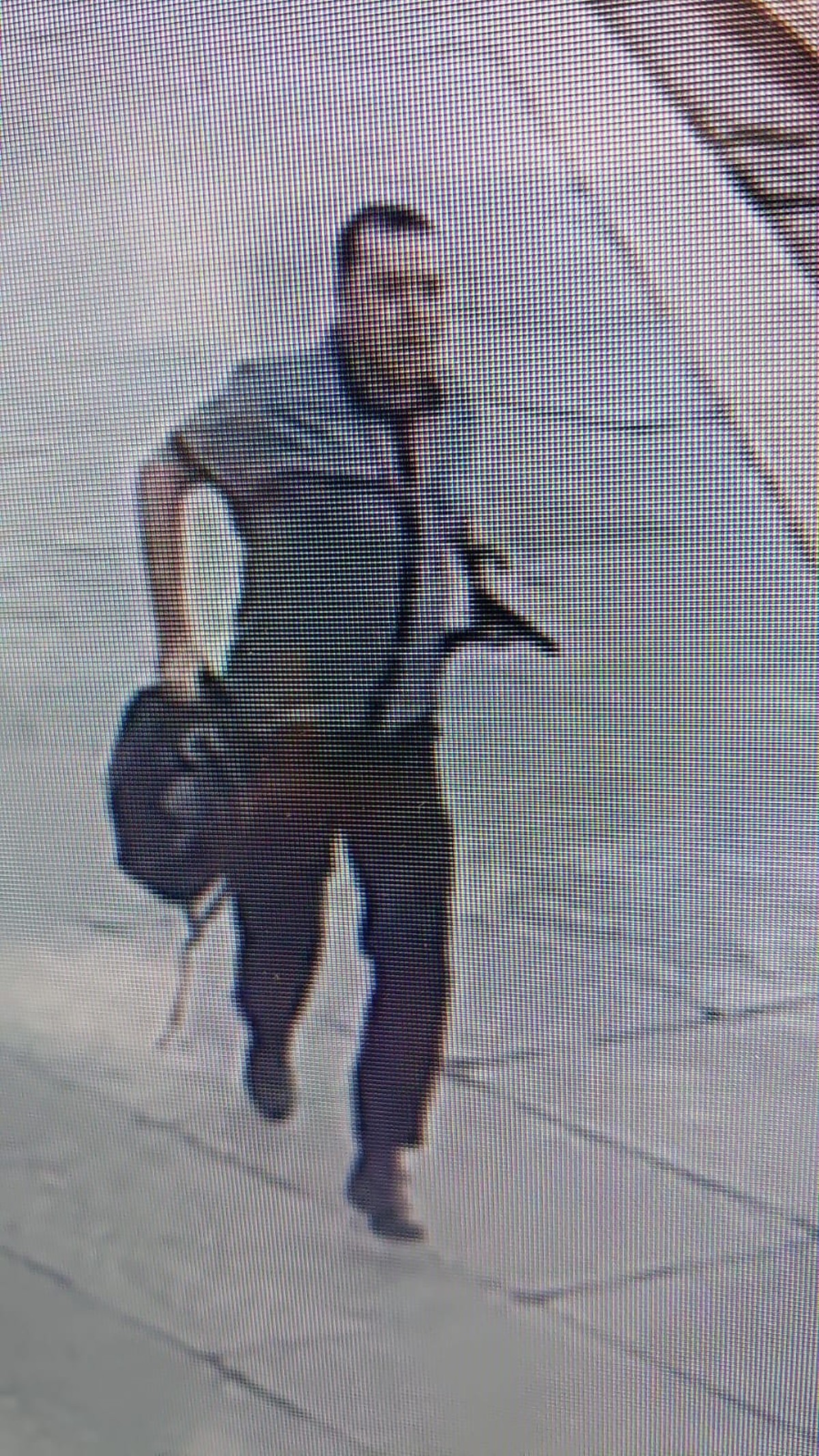 Maquinista da CPTM que atirou e matou colega de trabalho é encontrado ...