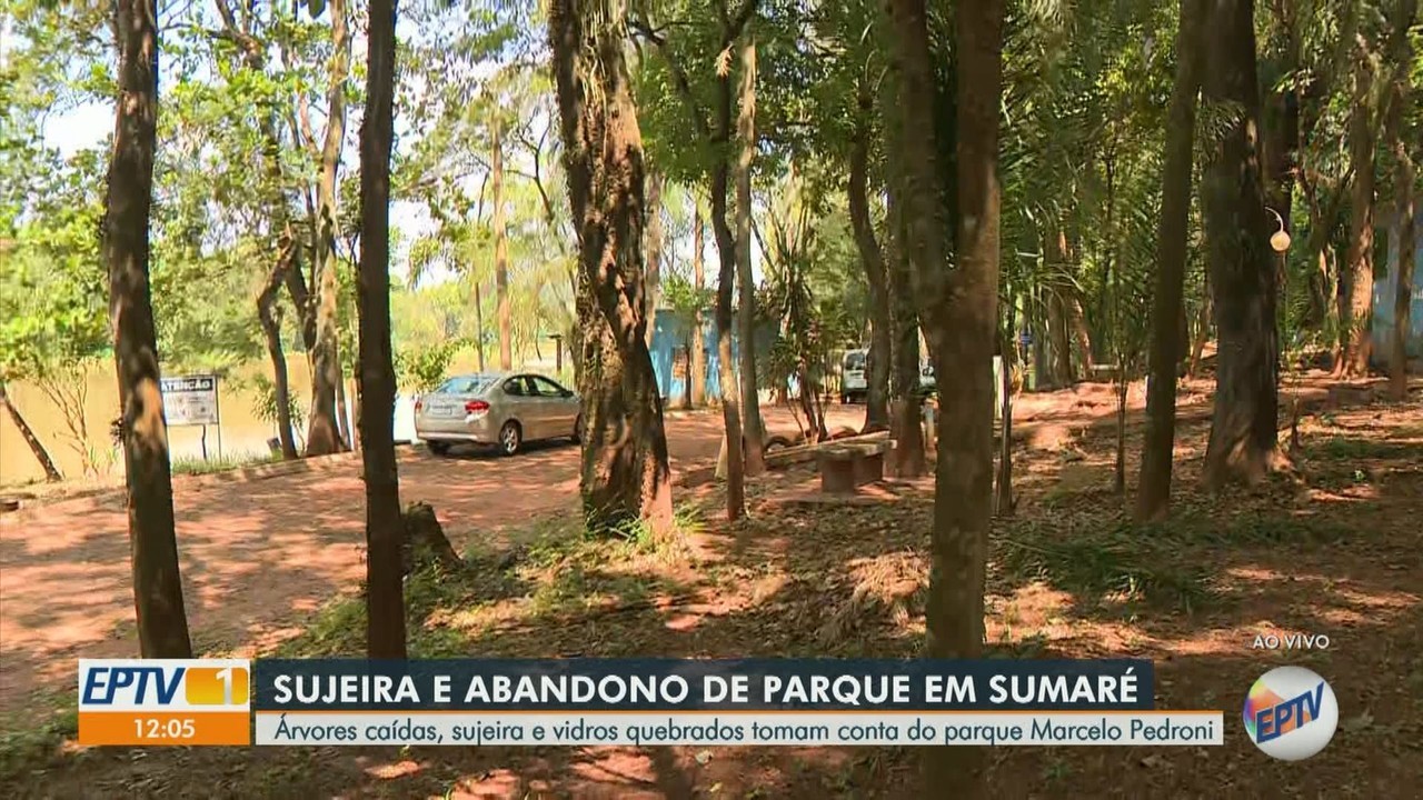 Parque Represa Marcelo Pedroni enfrenta abandono e gera reclamações de ...